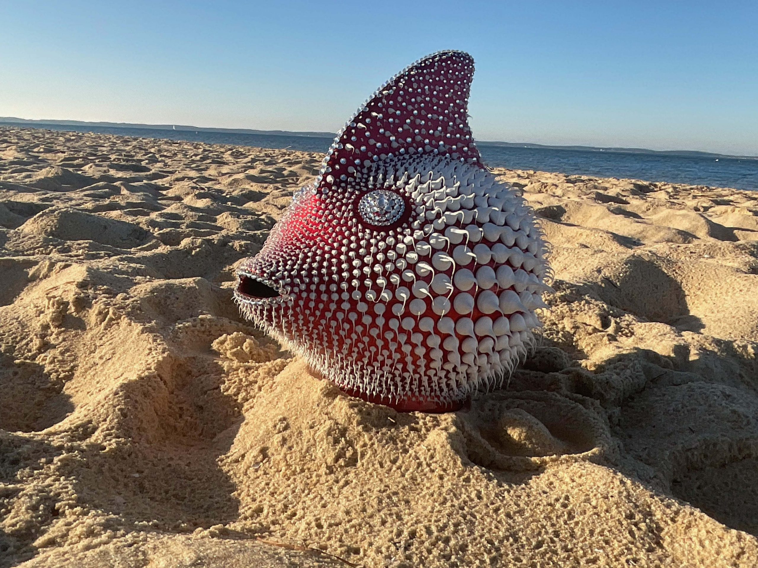 Maniez Eddy - french artist - sculptor - a unique concept in the world