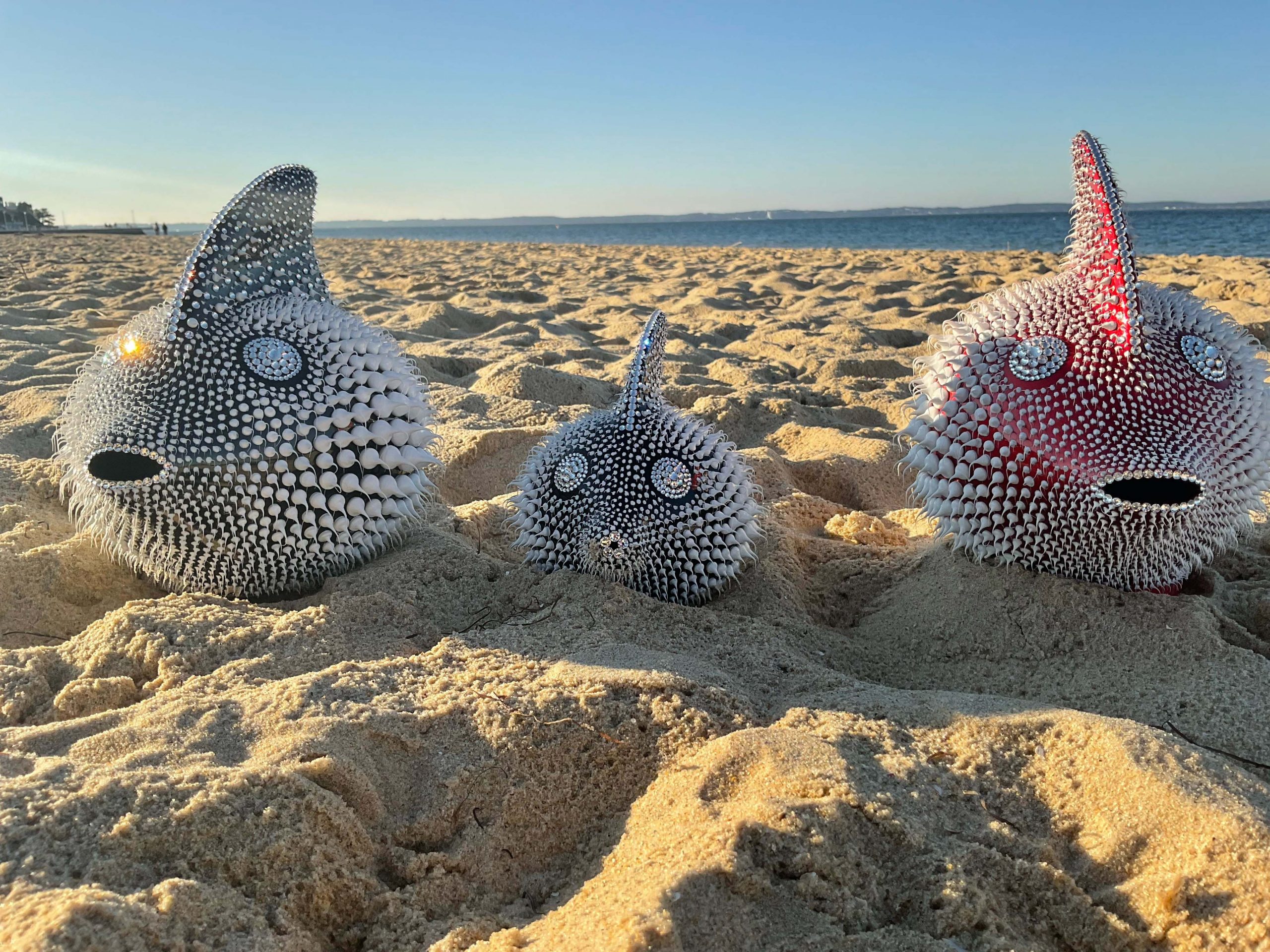 Maniez Eddy - french artist - sculptor - a unique concept in the world